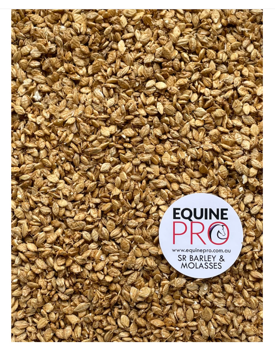 Steam Rolled Barley with Molasses – Ridgy Didge Outback Co.